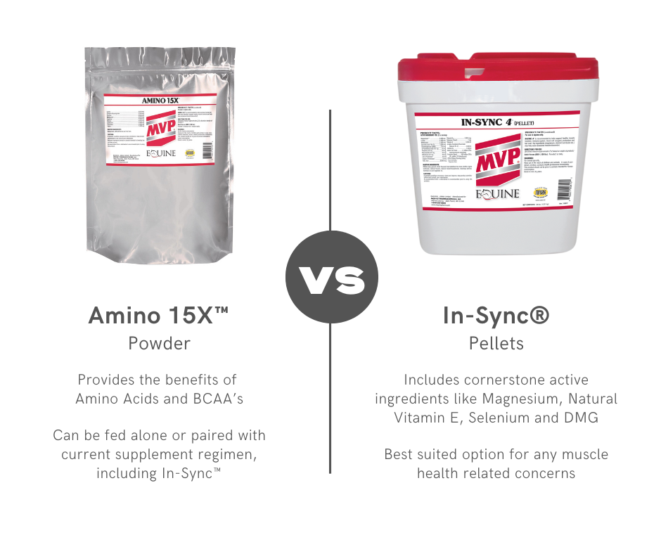 When to use a Muscle Supplement - Med Vet Pharmaceuticals